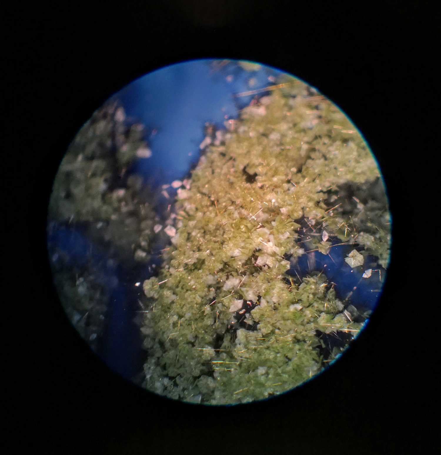 Glazes under microscope – Stoneware Ceramics
