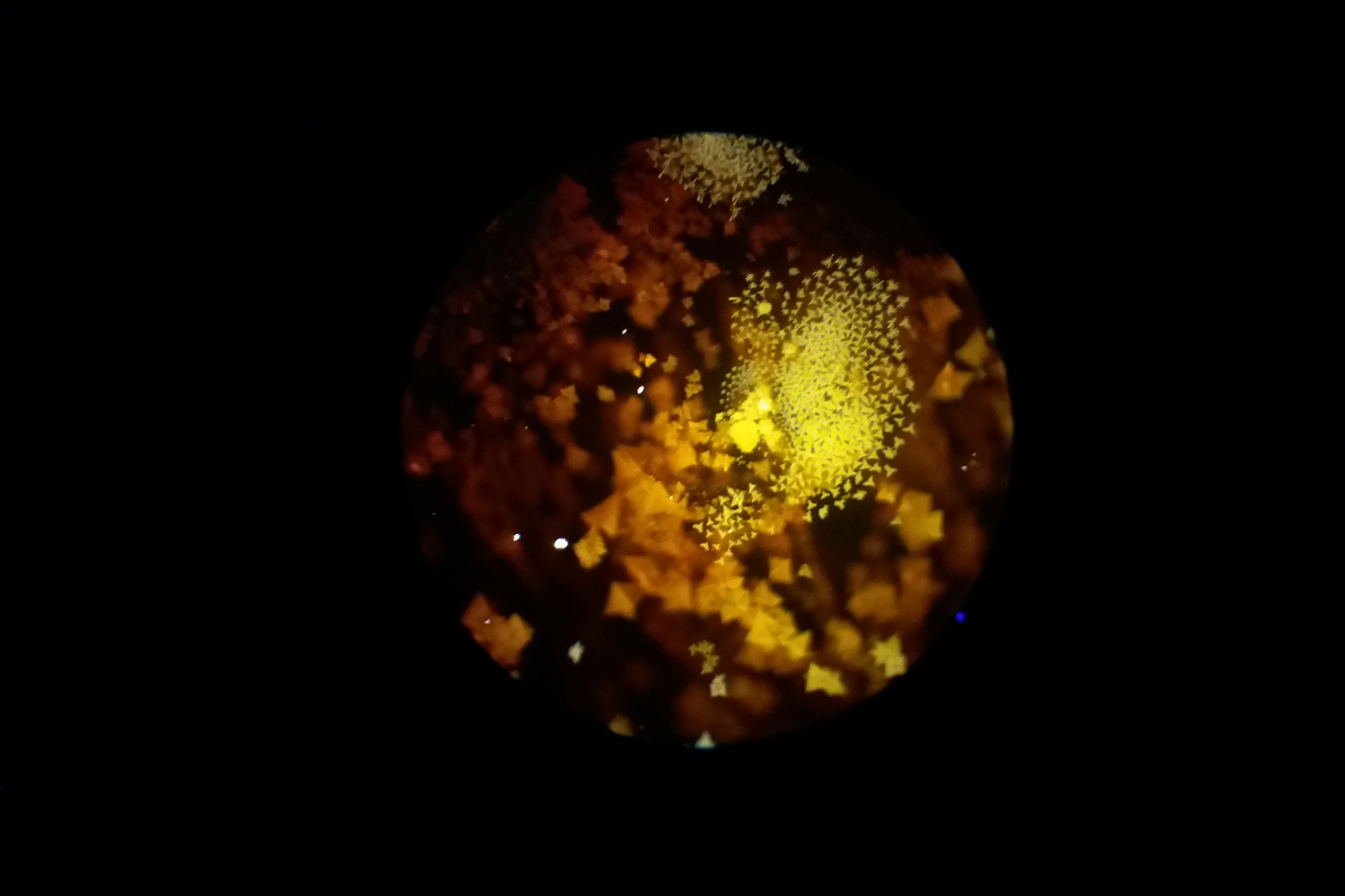 Glazes under microscope – Stoneware Ceramics