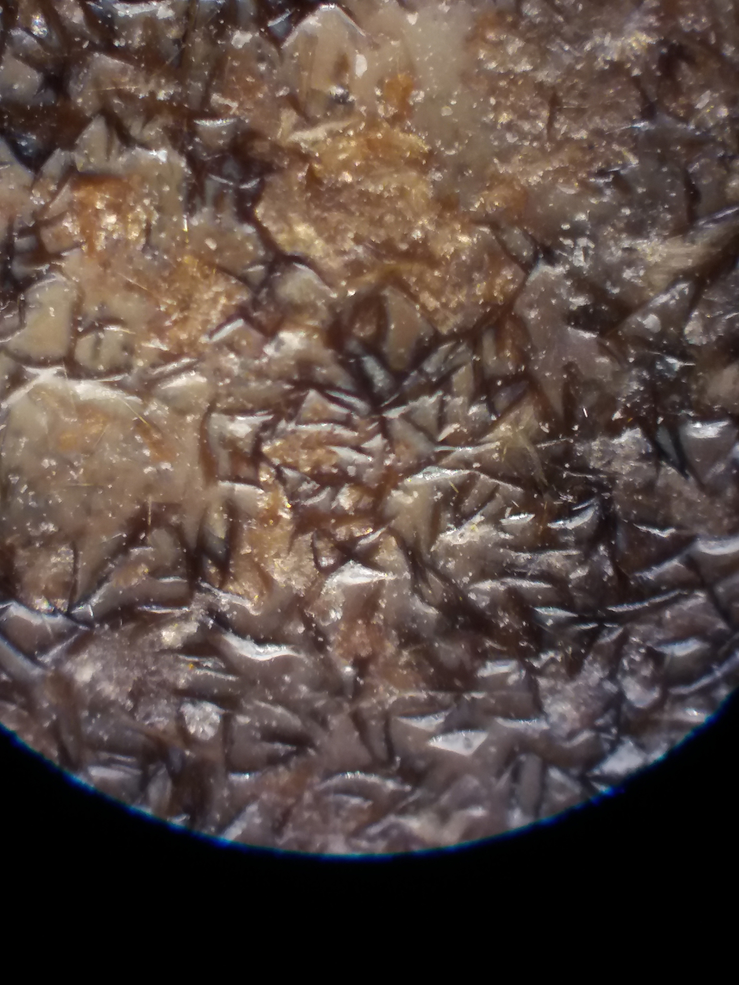 Glazes under microscope – Stoneware Ceramics