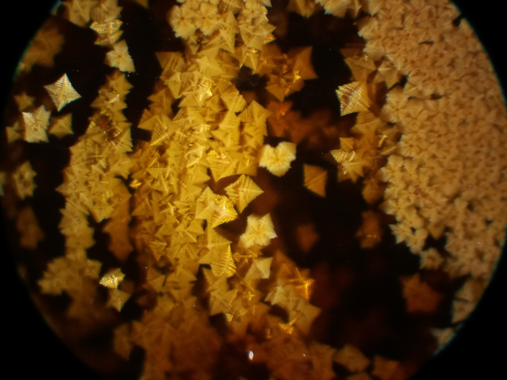 Glazes under microscope – Stoneware Ceramics