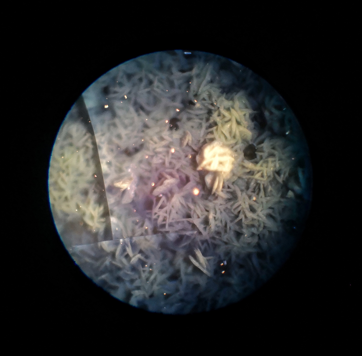 Glazes under microscope – Stoneware Ceramics